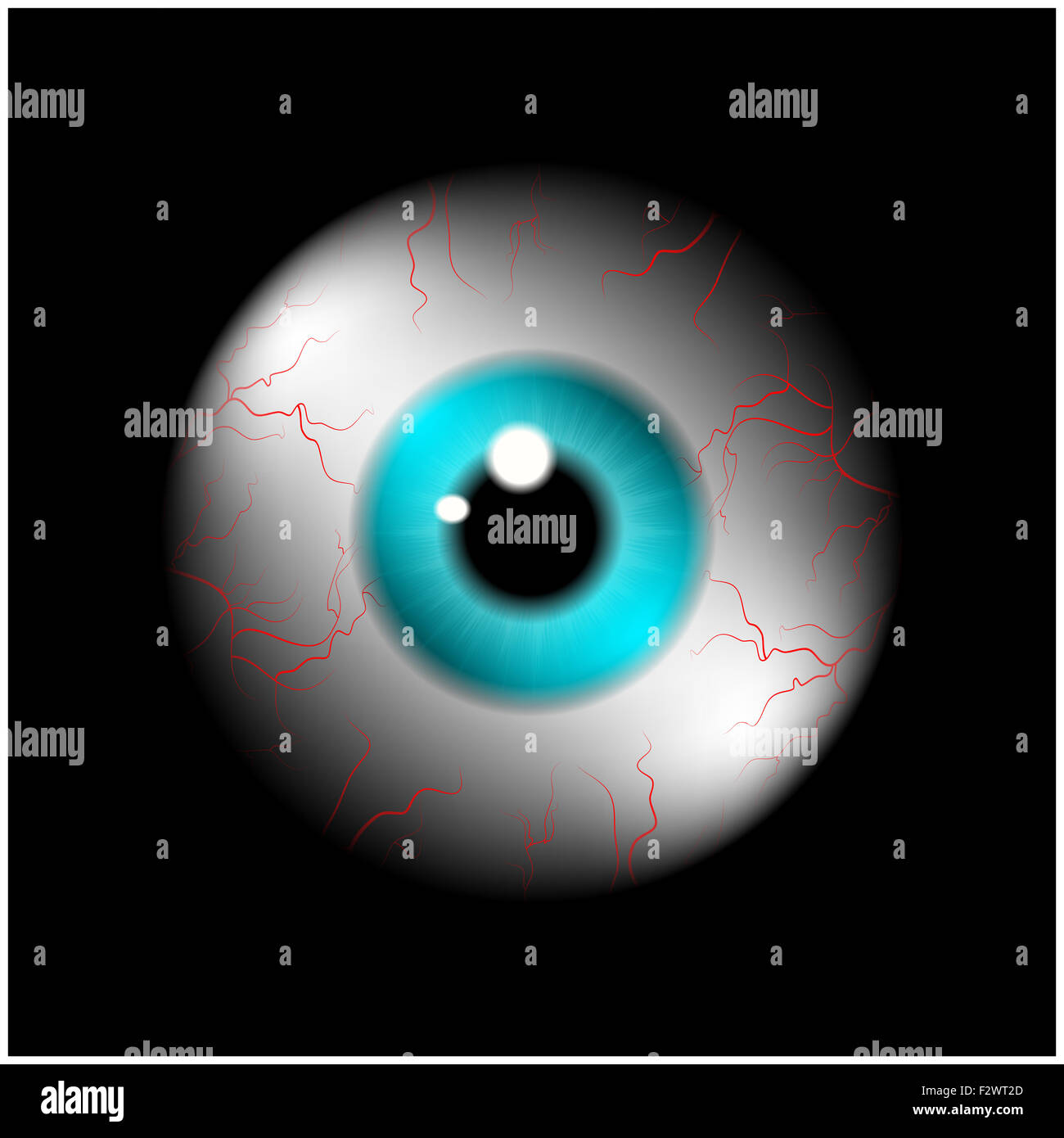 Image of realistic human eye ball with blue pupil, iris. Vector ...