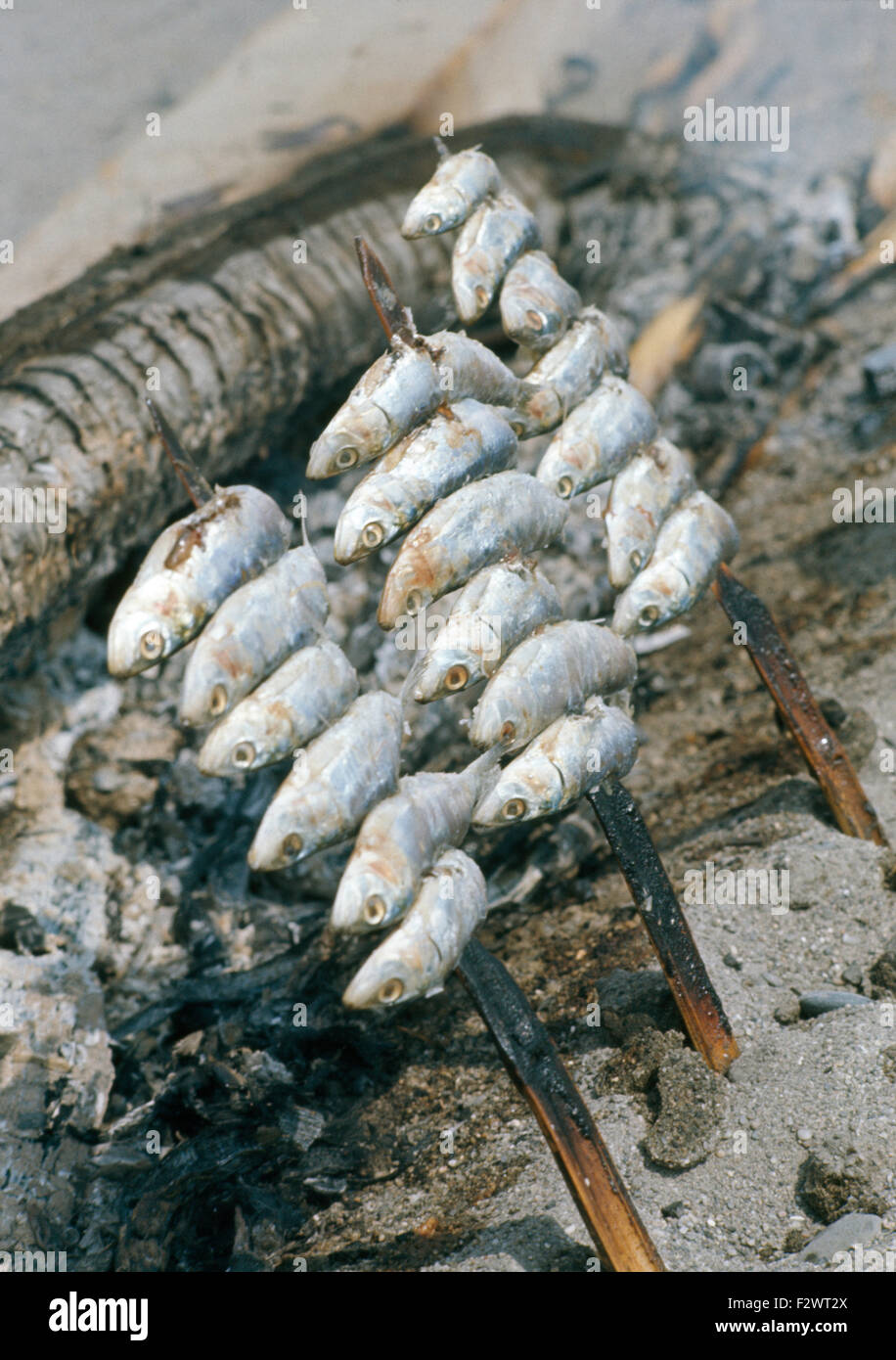Sardines grilling over wood on a beach Stock Photo - Alamy