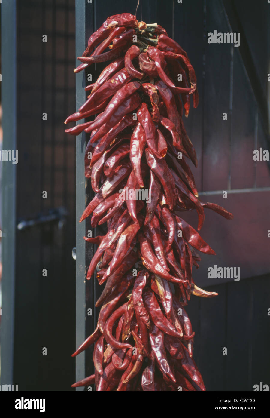 String of chillies hi-res stock photography and images - Alamy