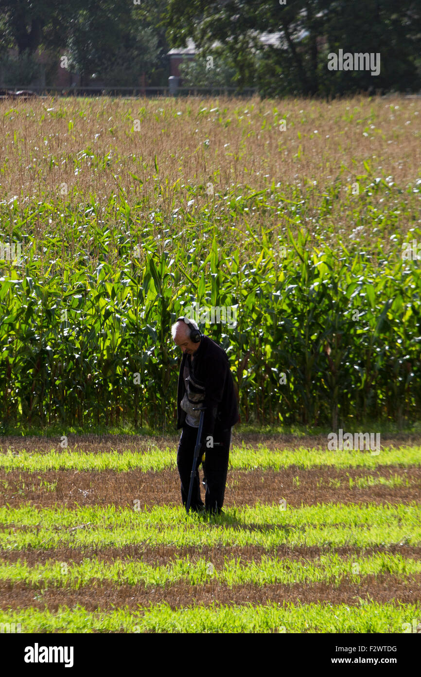 Detectorists field hi-res stock photography and images - Alamy