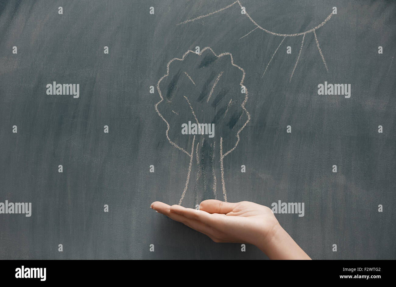 Tree and sun drawing on a blackboard Stock Photo - Alamy