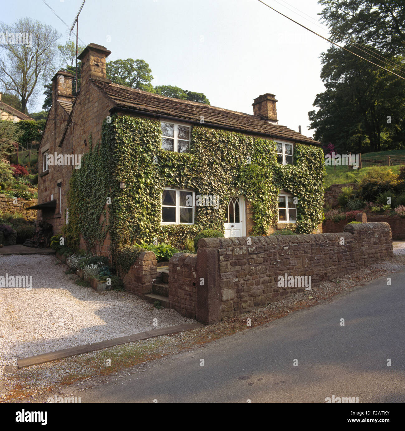 Ivy clad exterior wall hi-res stock photography and images - Alamy