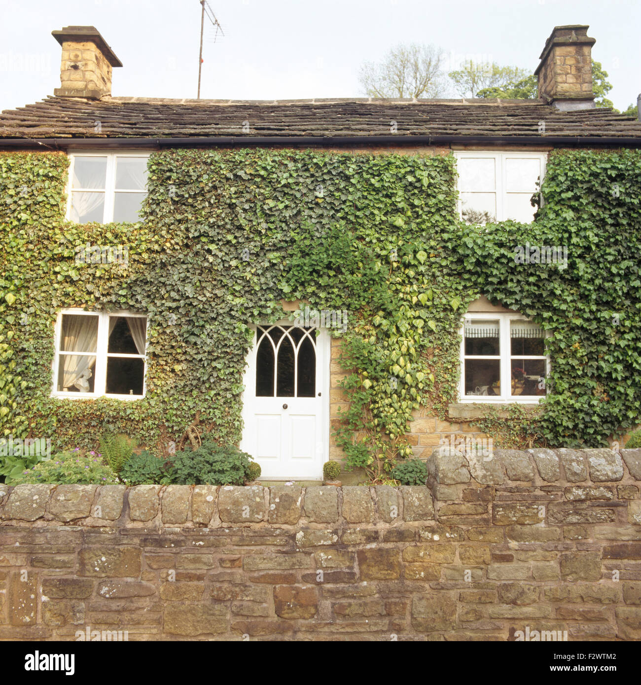 Exterior of traditional, ivy clad village house with a half glazed ...