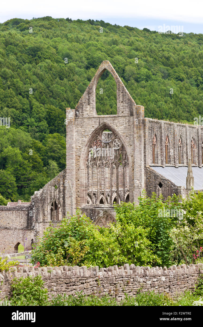 Tintern Abbey Wye Valley Wales Stock Photos & Tintern Abbey Wye Valley ...