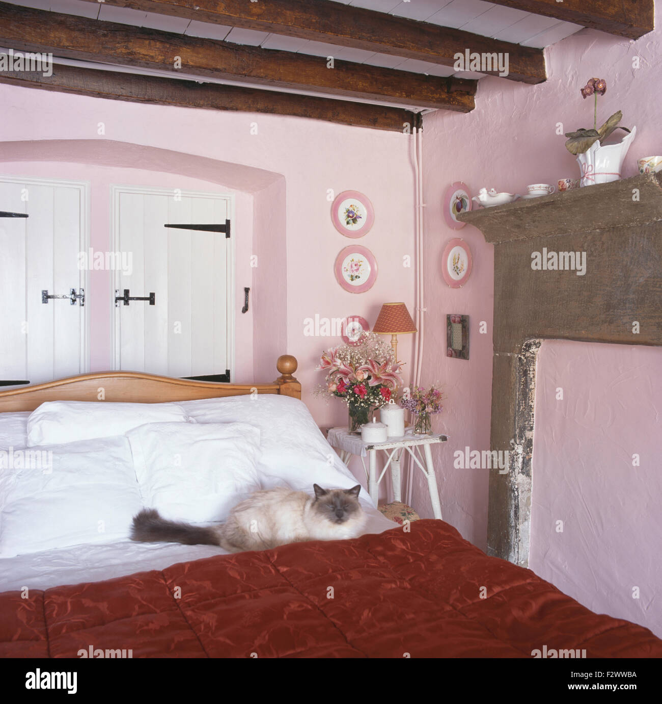 Cat Cottage High Resolution Stock Photography and Images - Alamy
