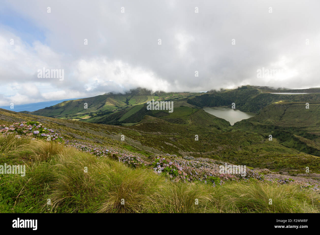 Lagoa Funda das Lajes and Lagoa Rasa behind with hydrangea macrophylla ...