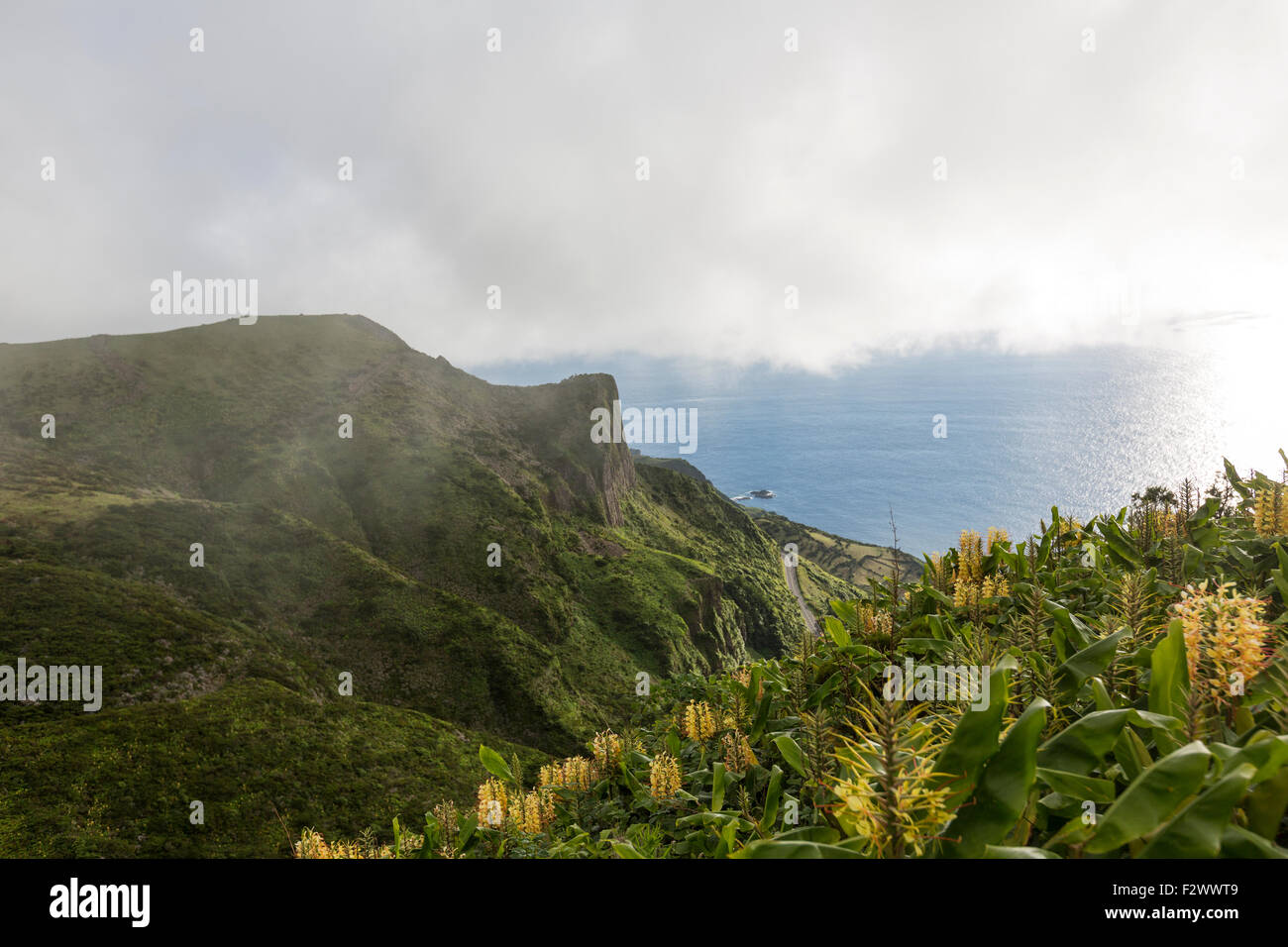 Rocha dos Bordões, is a geological formation characterized by huge ...