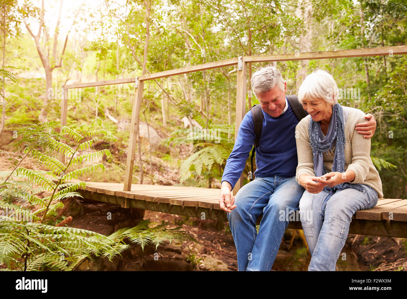 Seniors playing bridge hi-res stock photography and images - Alamy