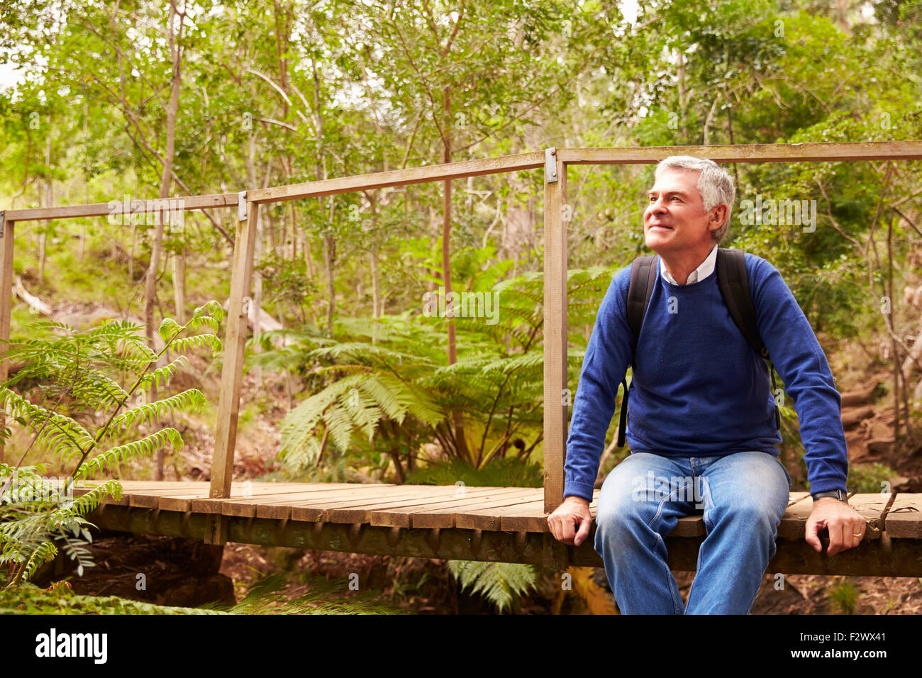 Senior man sitting alone on a wooden bridge in a forest Stock Photo - Alamy