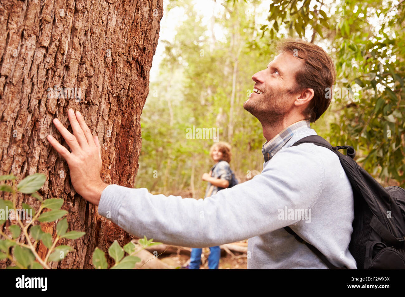 Man touching a tree in a forest, his son in the background Stock Photo ...
