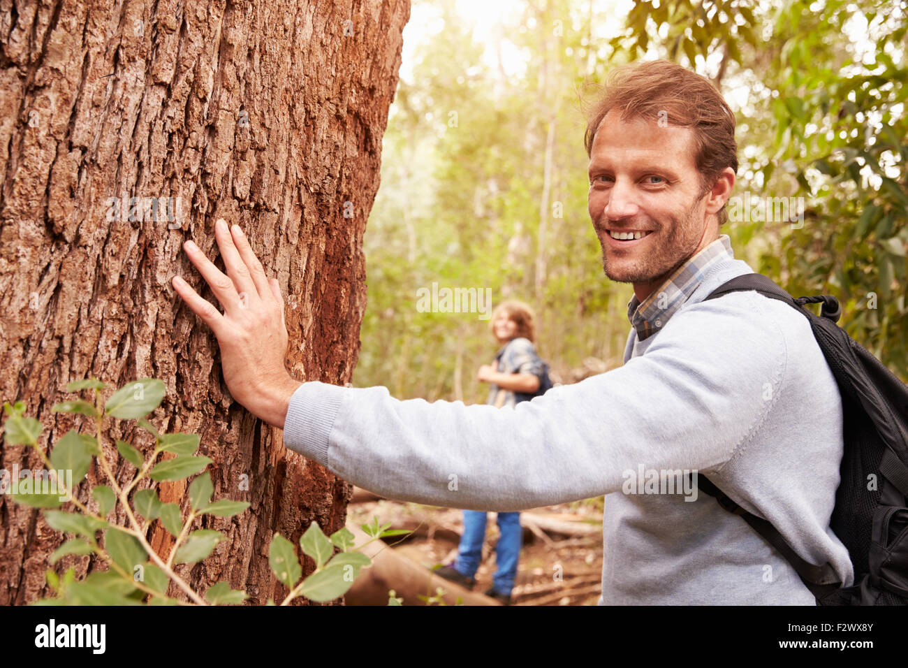 Man touching a tree in a forest, his son in the background Stock Photo ...