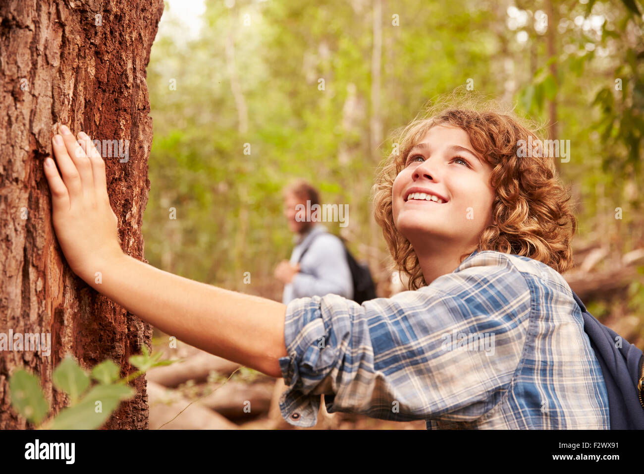 Boy touching a tree in a forest, his father in the background Stock ...