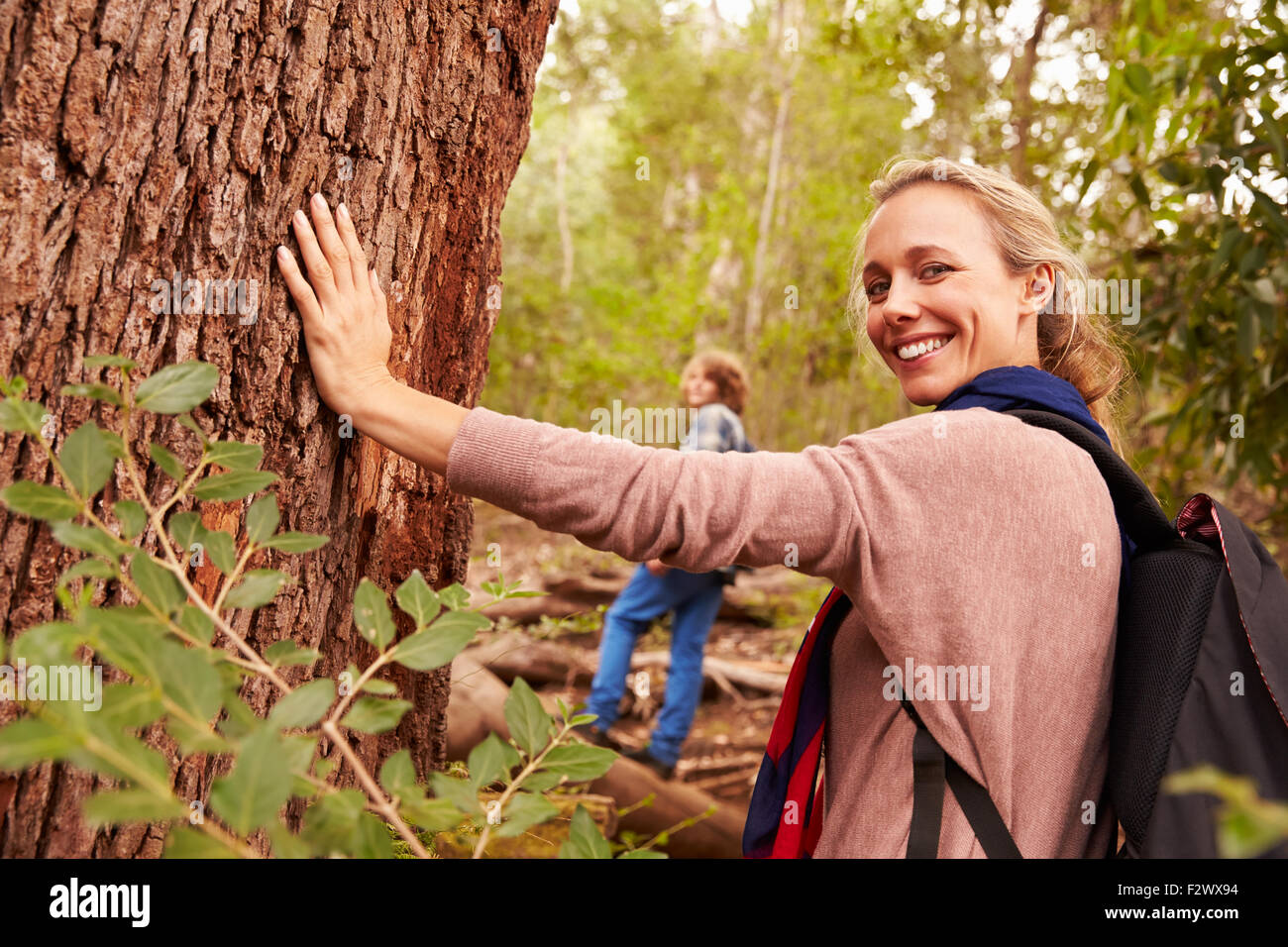 Boy touching tree in forest hi-res stock photography and images - Alamy