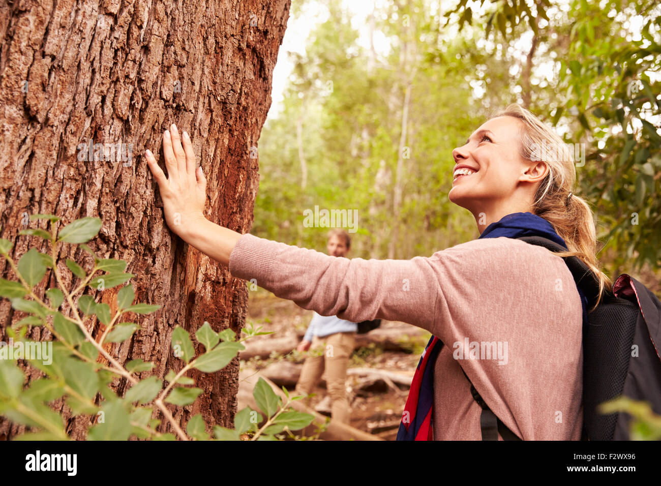 Woman touching a tree in a forest, husband in the background Stock ...