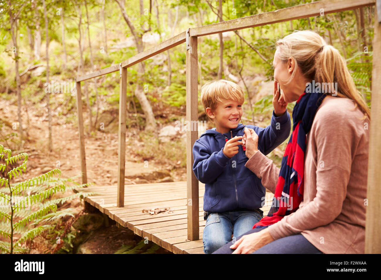 Women playing bridge hi-res stock photography and images - Alamy