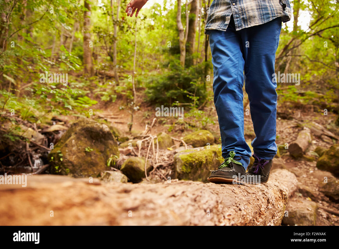 Legs and feet of boy balancing on a fallen tree in a forest Stock Photo ...
