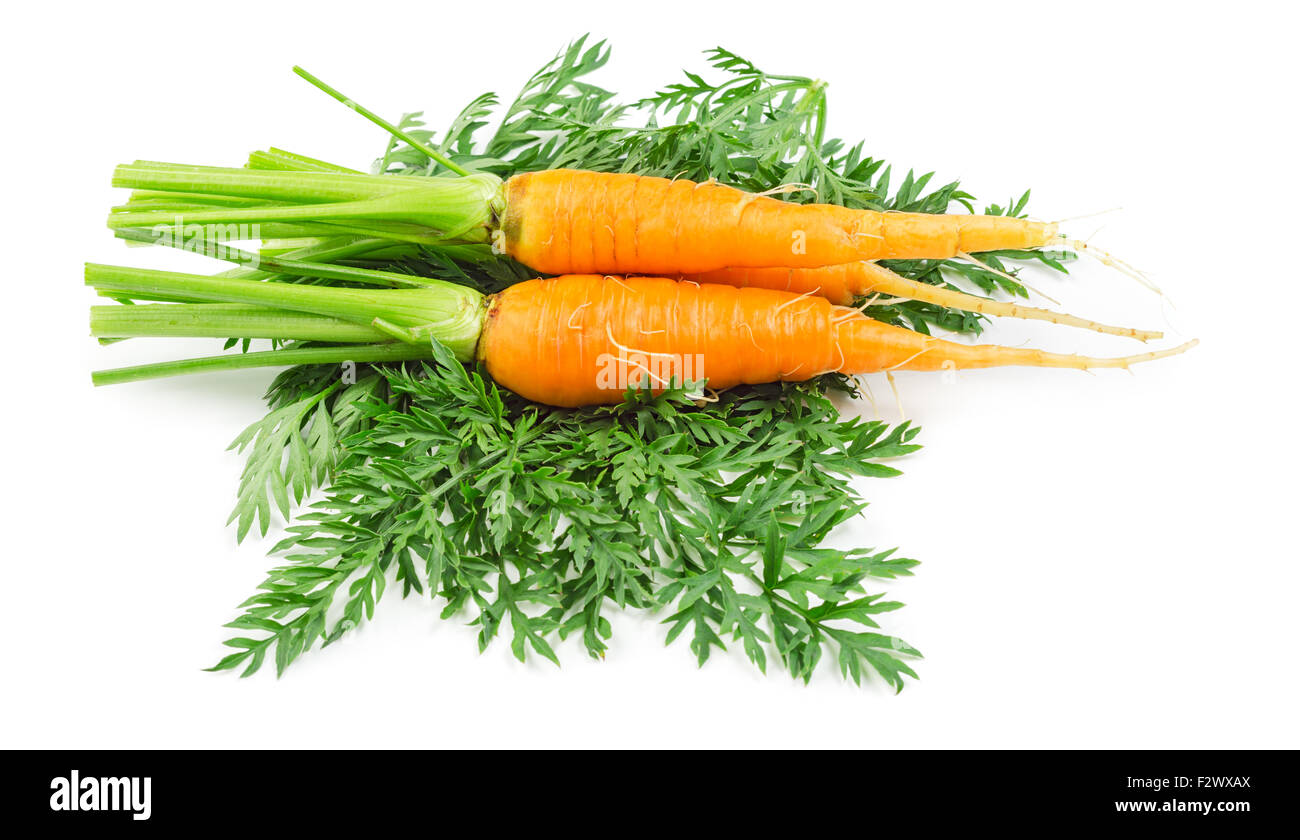 Bunch of baby carrots isolated on white background Stock Photo - Alamy