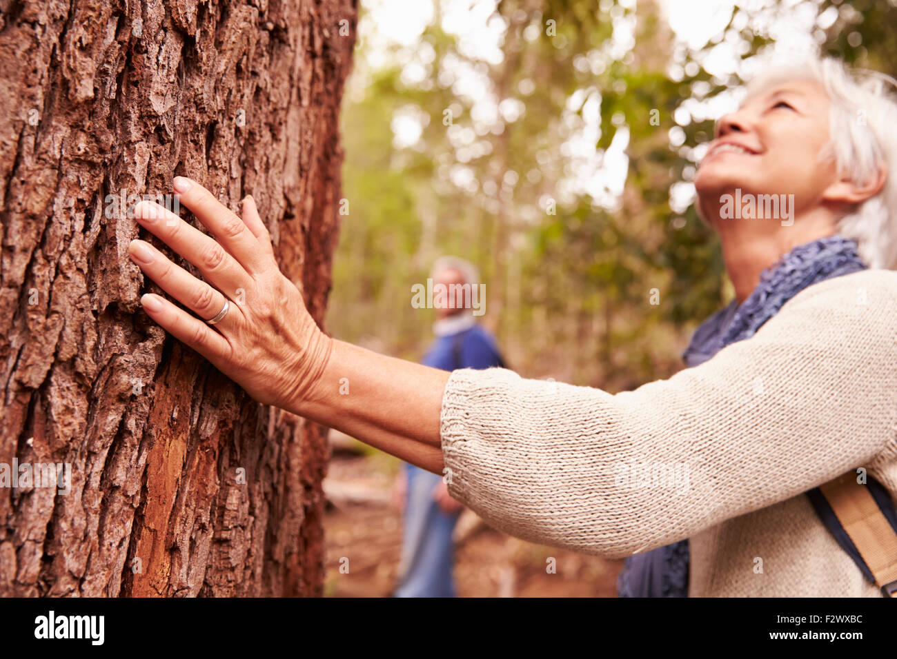 Senior woman touching tree in forest, man in the background Stock Photo ...