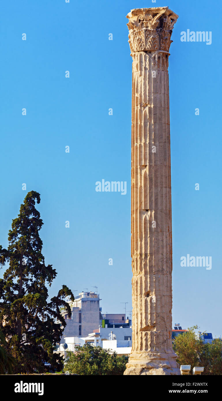 Corinf column near Olympieion, Temple of Olympian Zeus, Athens, Greece ...