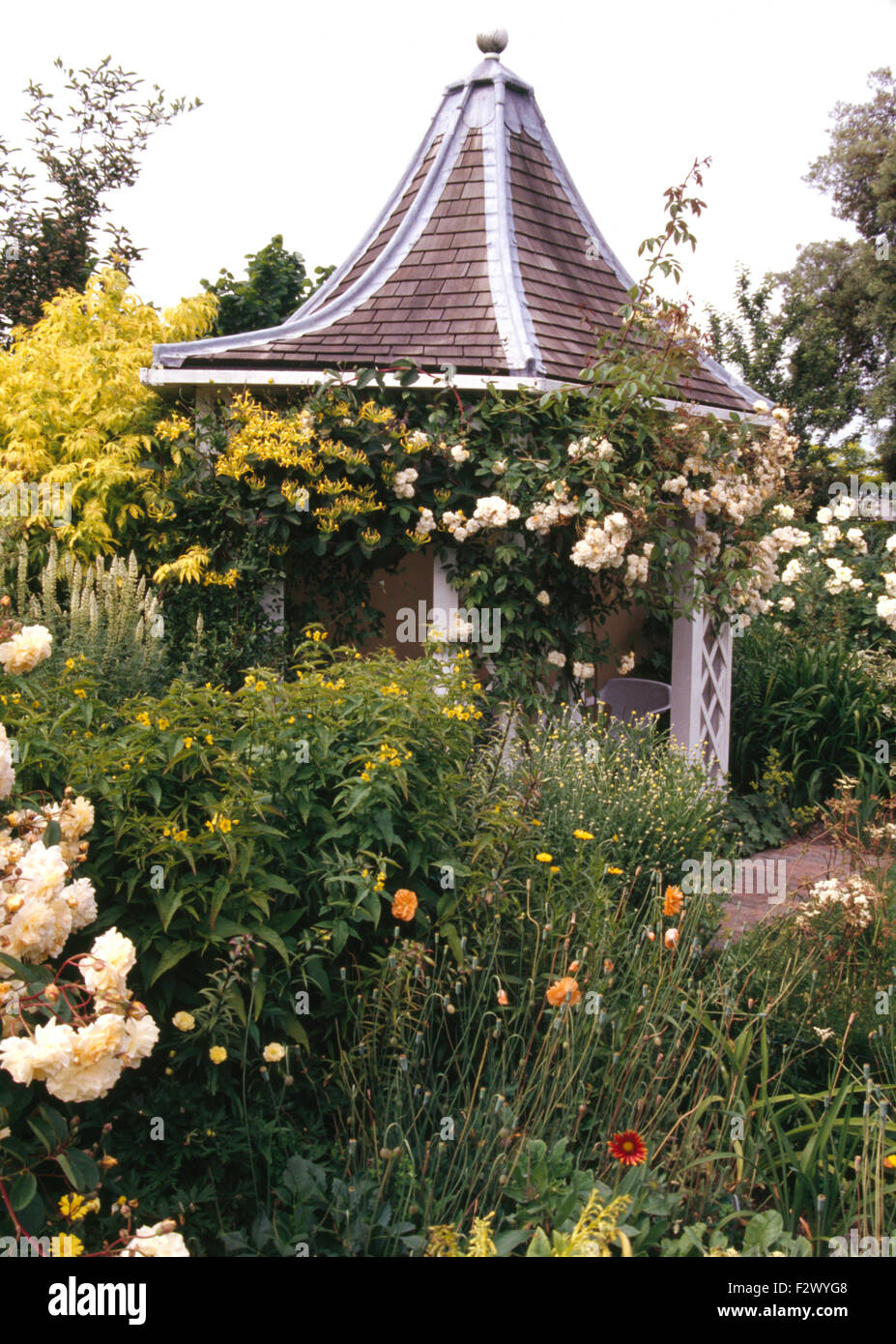 White roses on hexagonal gazebo with tiled roof in large country garden ...