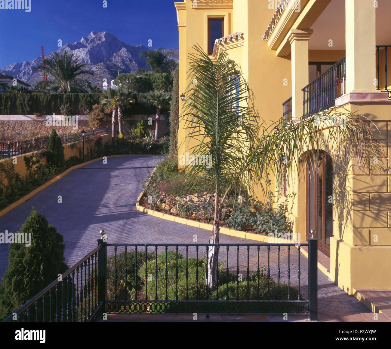Small palm tree and wrought iron railings in front of yellow Spanish ...