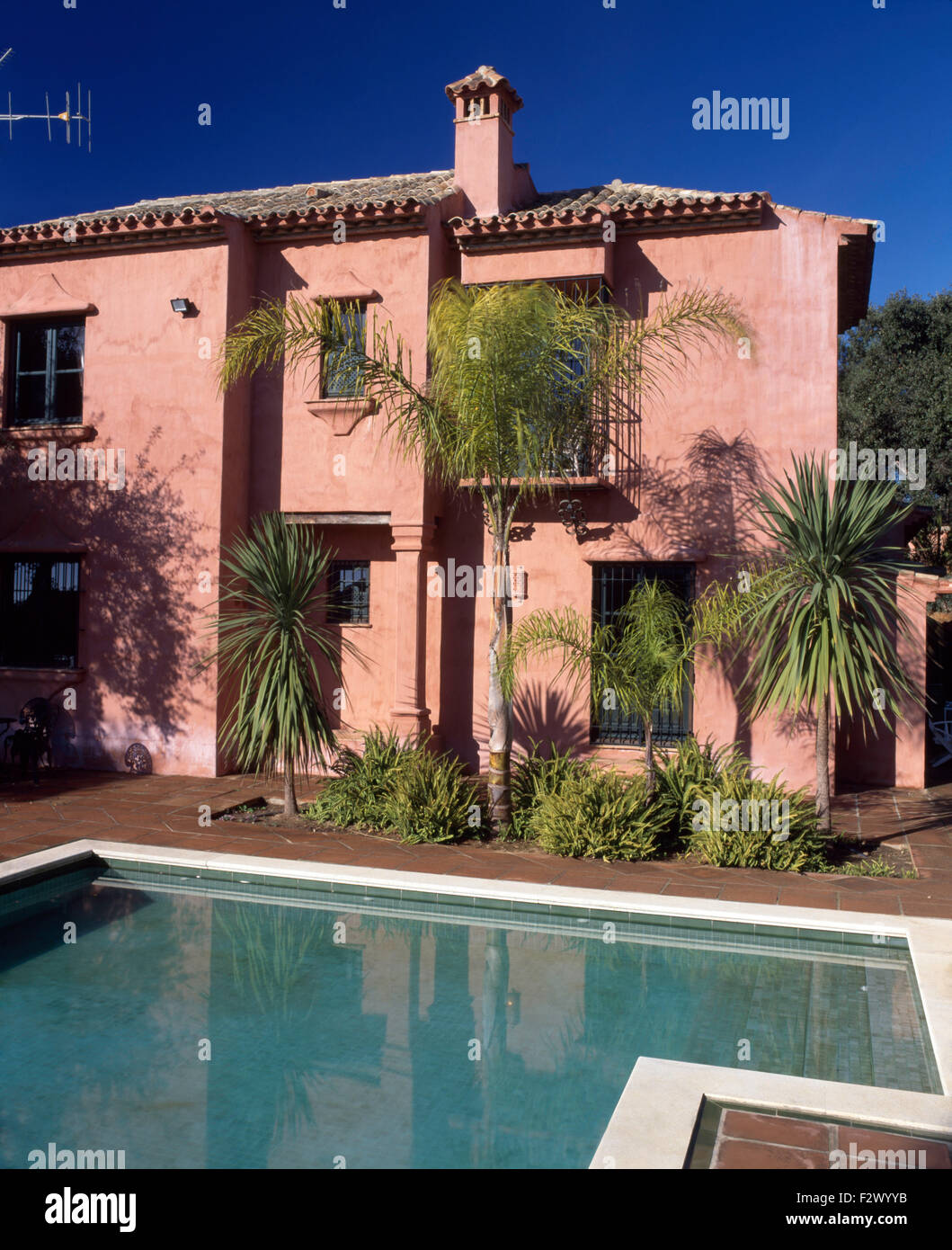 Swimming pool and palm trees in front of pink Spanish villa Stock Photo ...