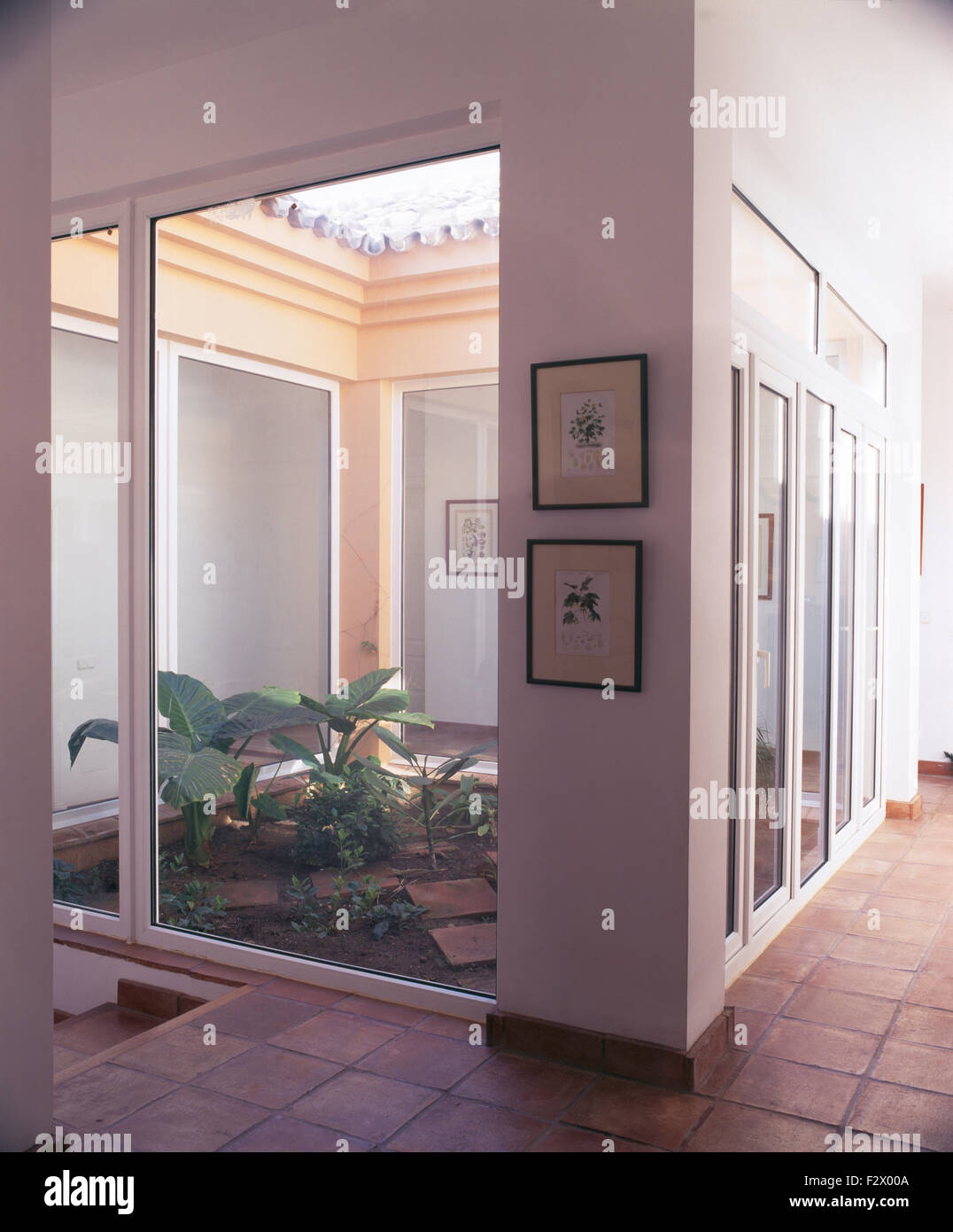 Plants growing in atrium in large hall in modern Spanish villa Stock ...