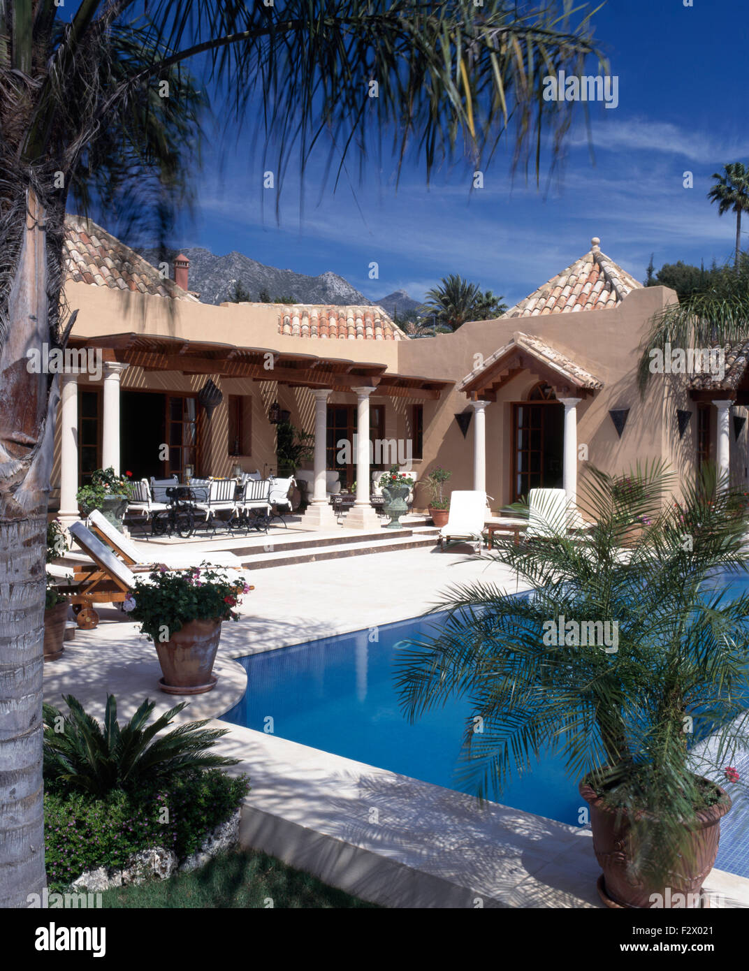 Potted palm beside swimming pool in front of Spanish villa with large ...