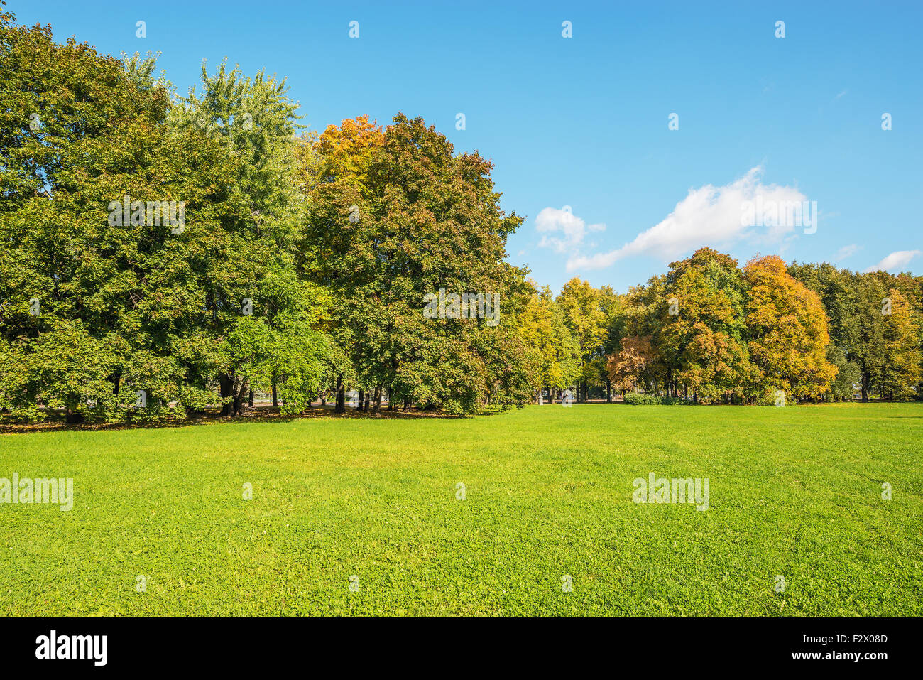 Seasonal photo city park hi-res stock photography and images - Alamy
