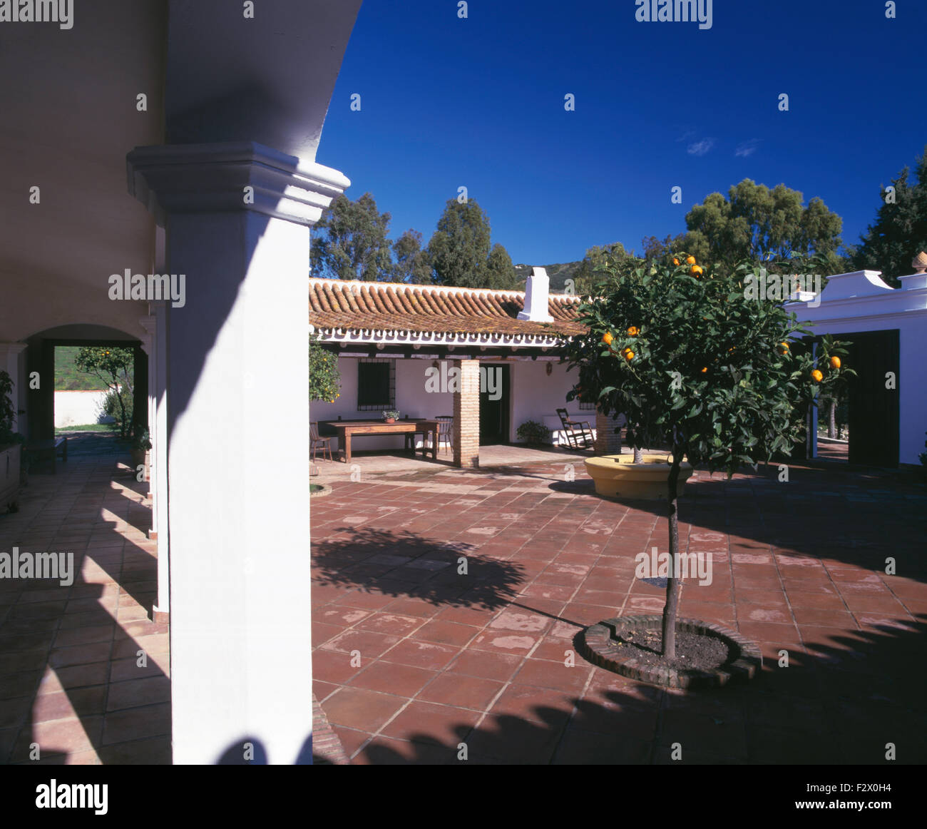 Small orange tree in paved courtyard of traditional Spanish villa Stock ...