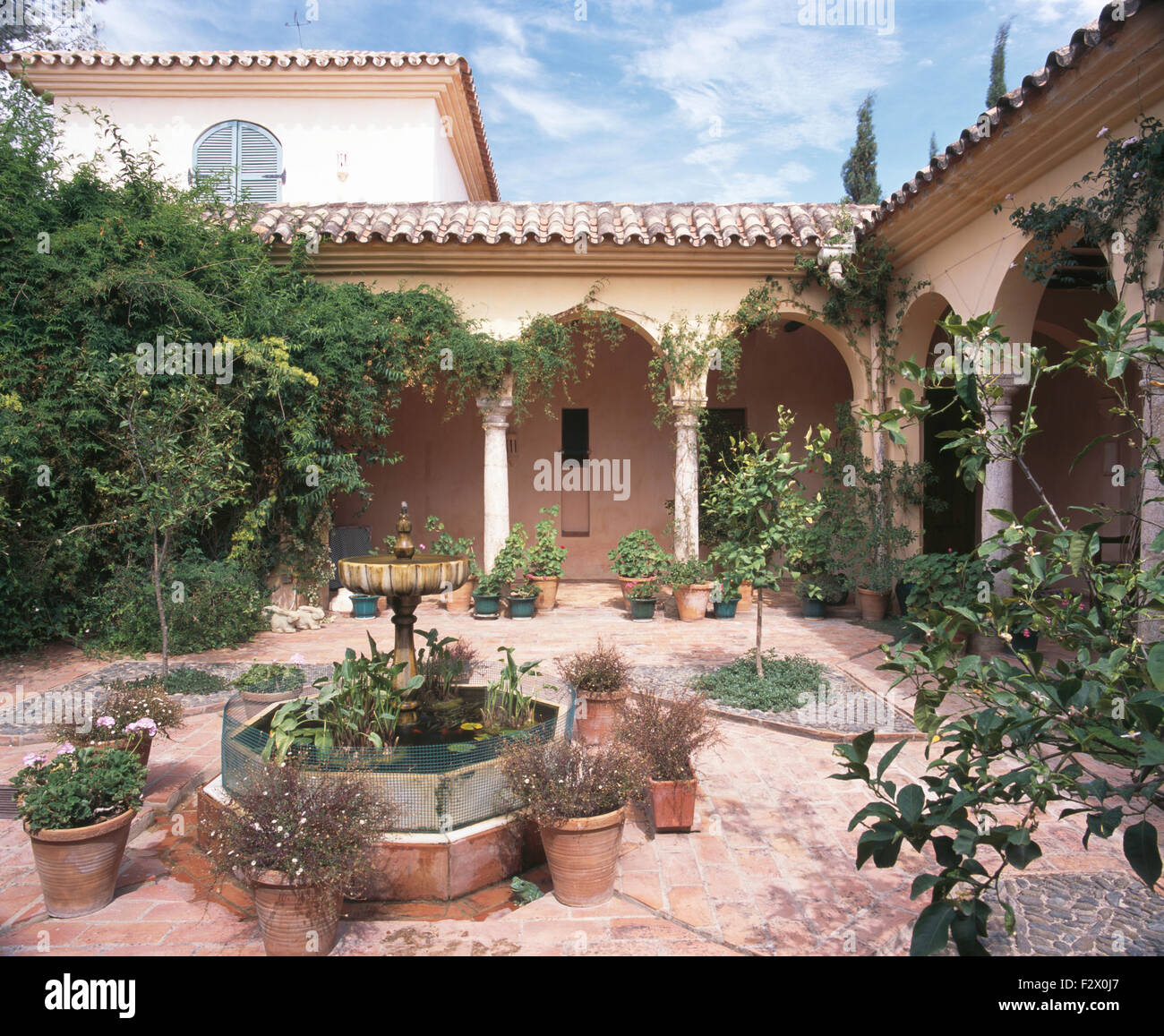 Plants in terracotta pots beside pool with fountain in courtyard of ...