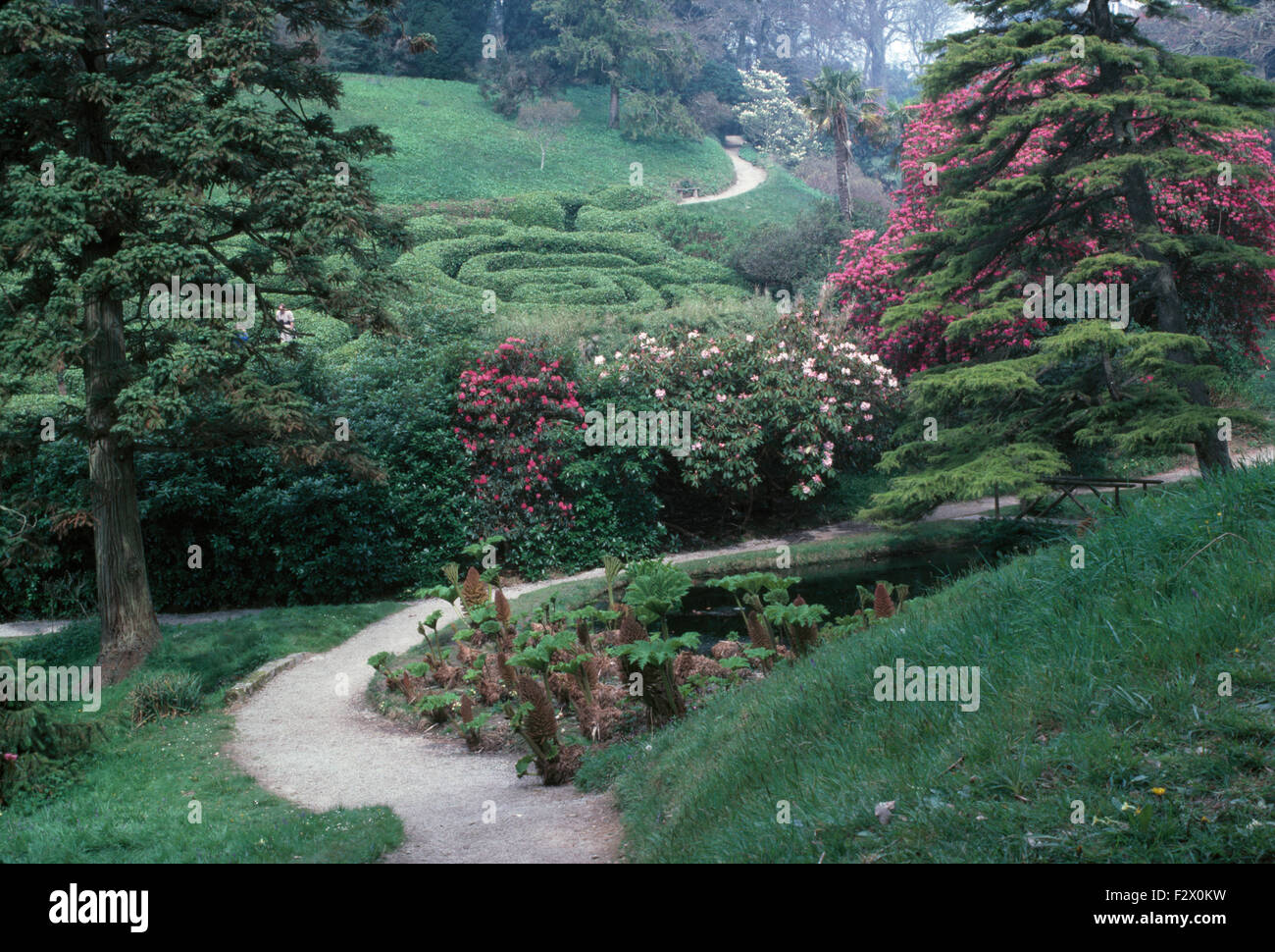 Tall trees in hillside garden with a winding path and view of a maze ...