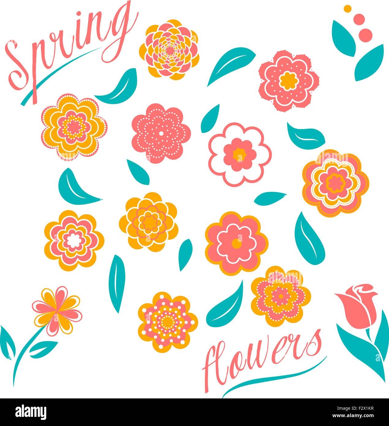 Set of flowers and floral elements isolated on white background Stock ...
