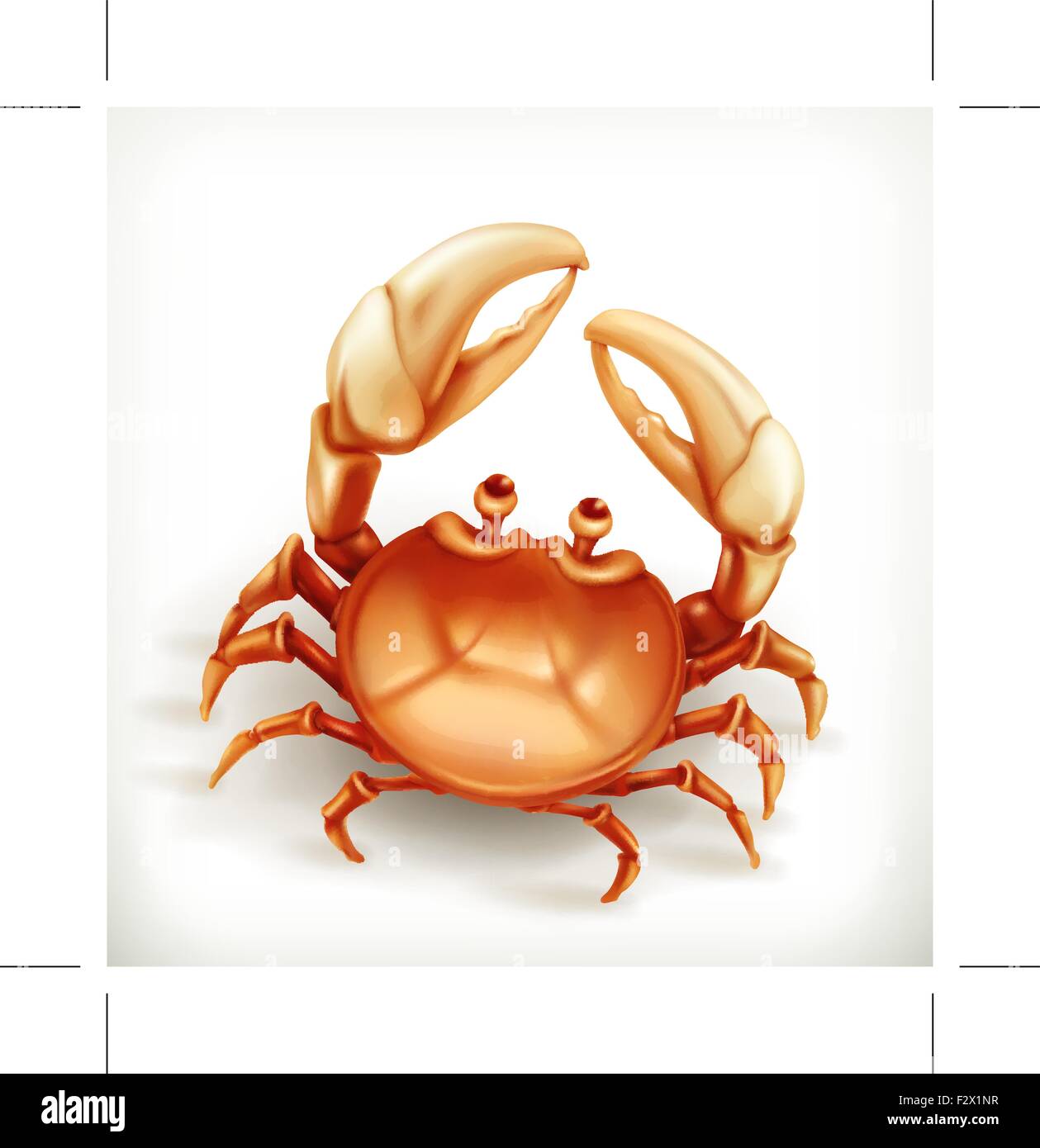Funny crab hi-res stock photography and images - Alamy