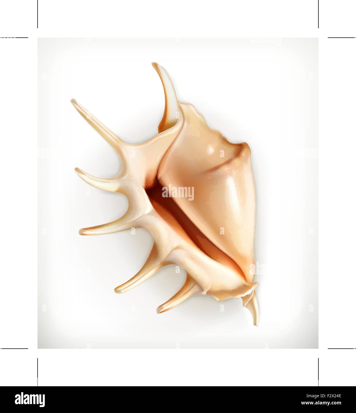 Seashell, vector icon Stock Vector Image & Art - Alamy