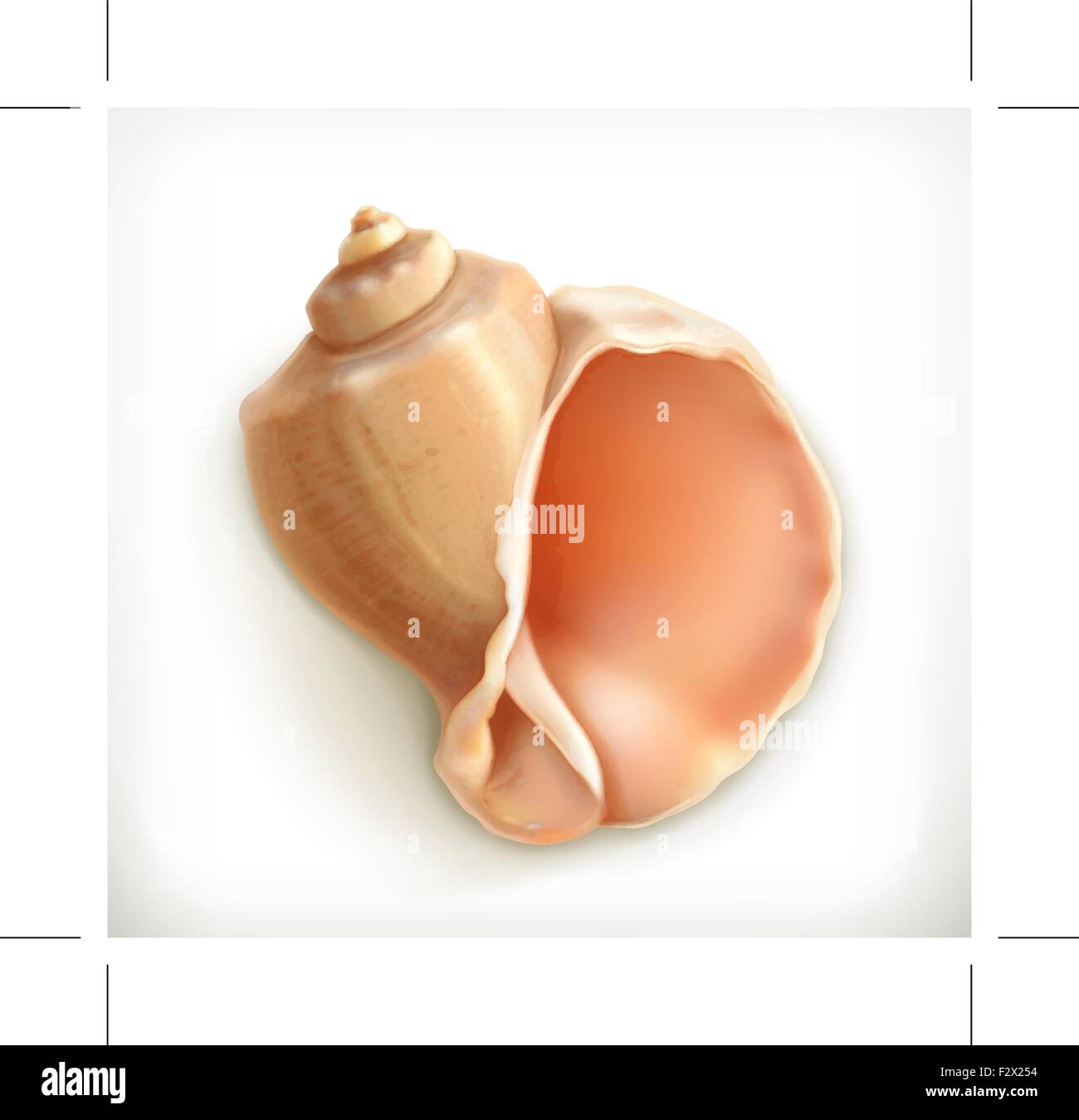 Seashell, vector icon Stock Vector Image & Art - Alamy