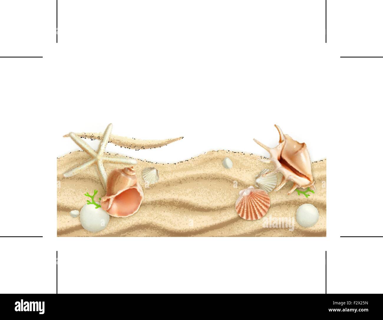 Seashells on sand, vector background Stock Vector Image & Art - Alamy