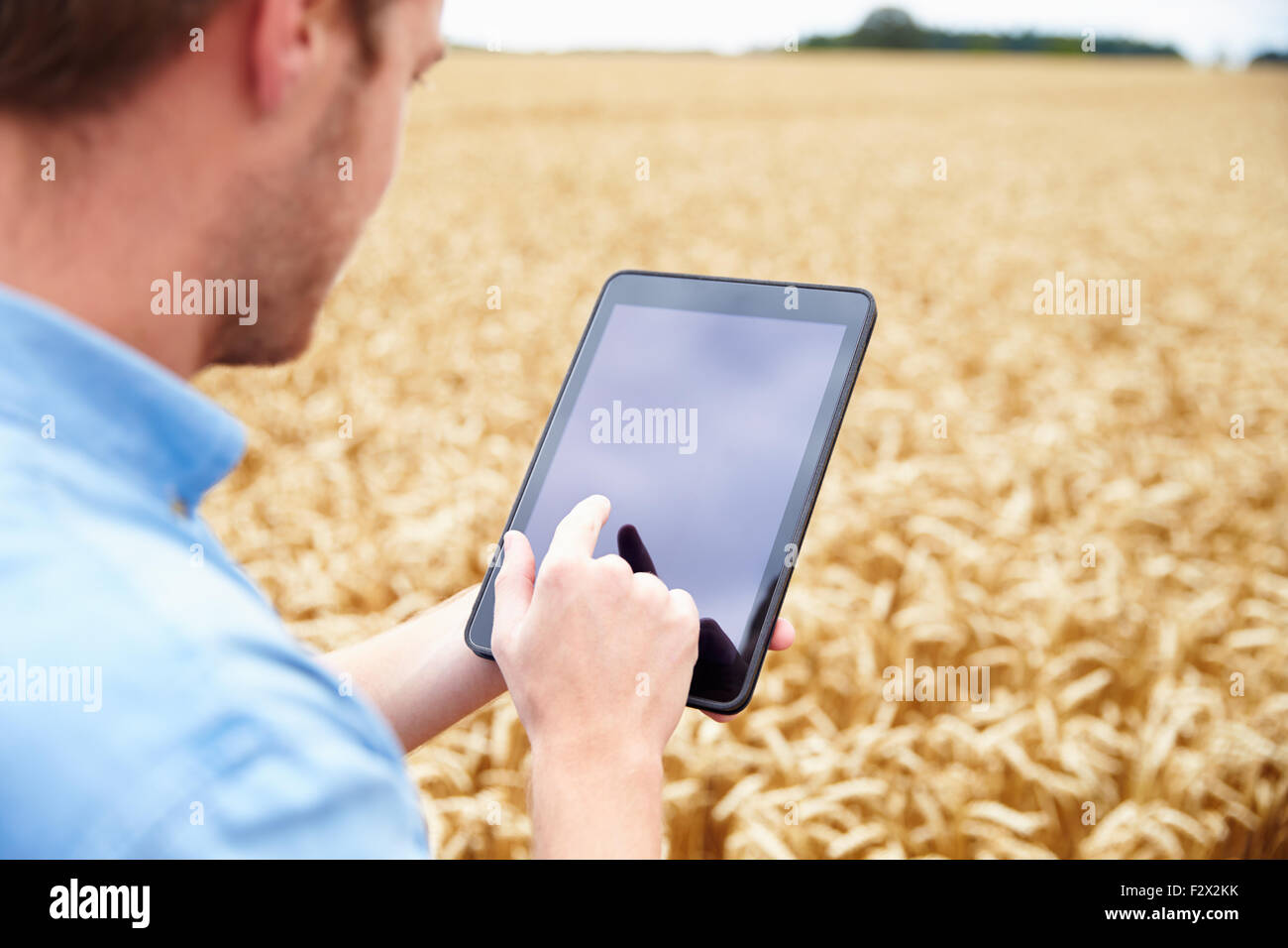 Farmer Using Digital Tablet In Field Of Wheat Stock Photo - Alamy