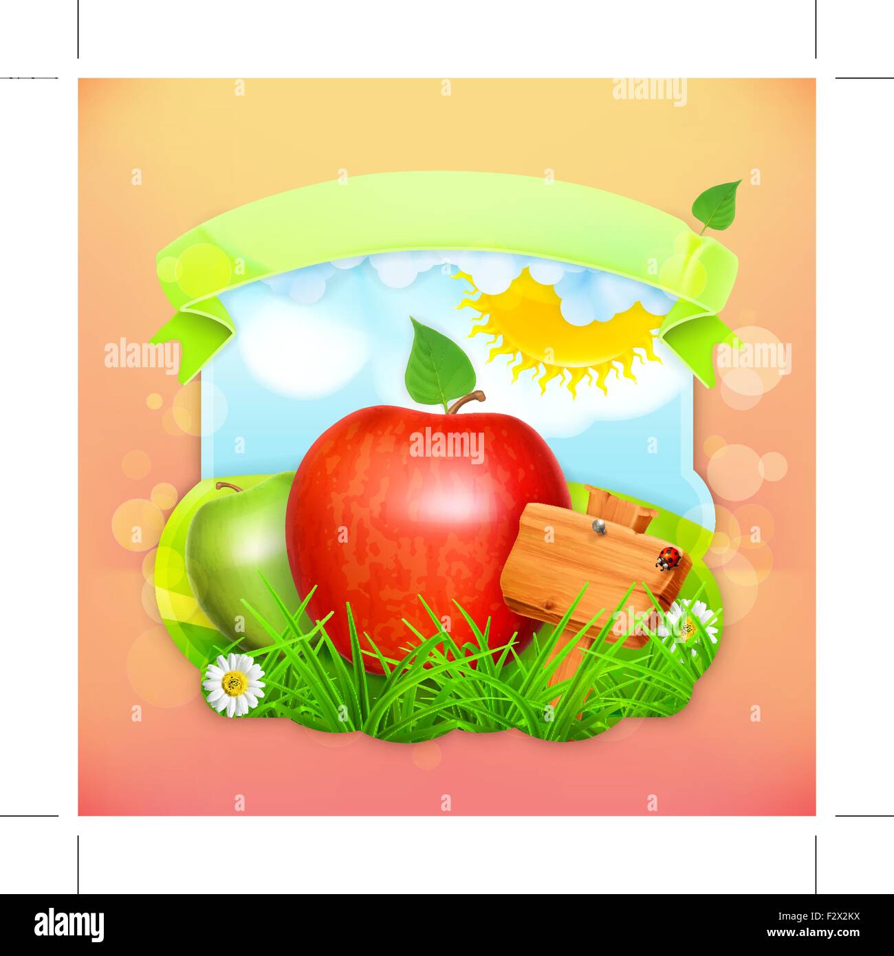 Fresh fruit label apple, vector illustration background for making ...