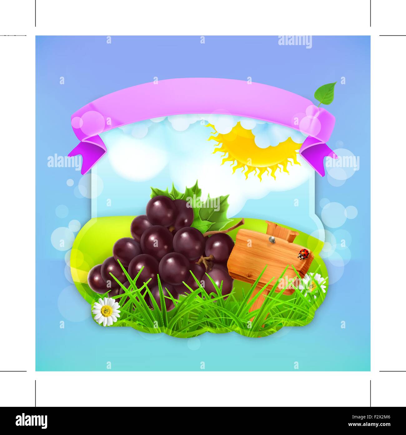 Fresh fruit label grape, vector illustration background for making ...