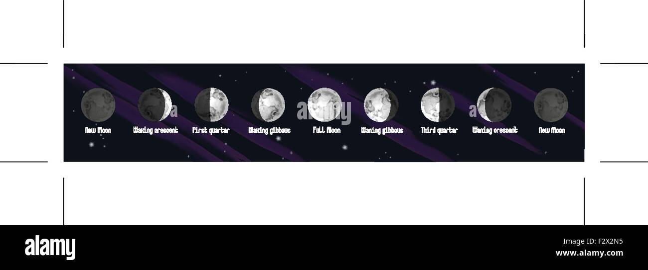 Phases of Moon, vector illustration Stock Vector Image & Art - Alamy