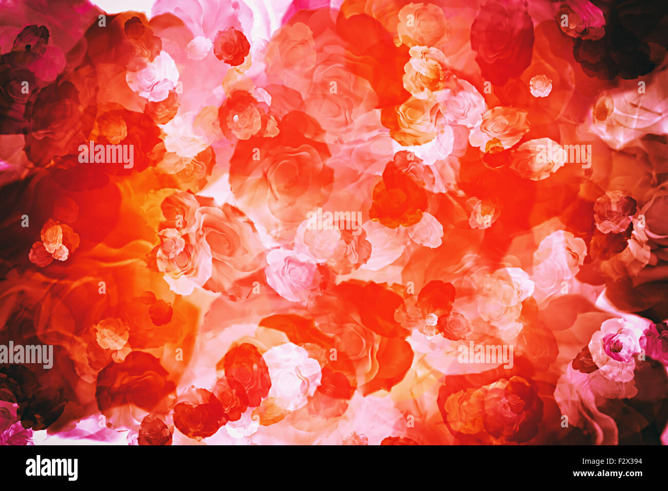 Natural red roses Stock Photo - Alamy