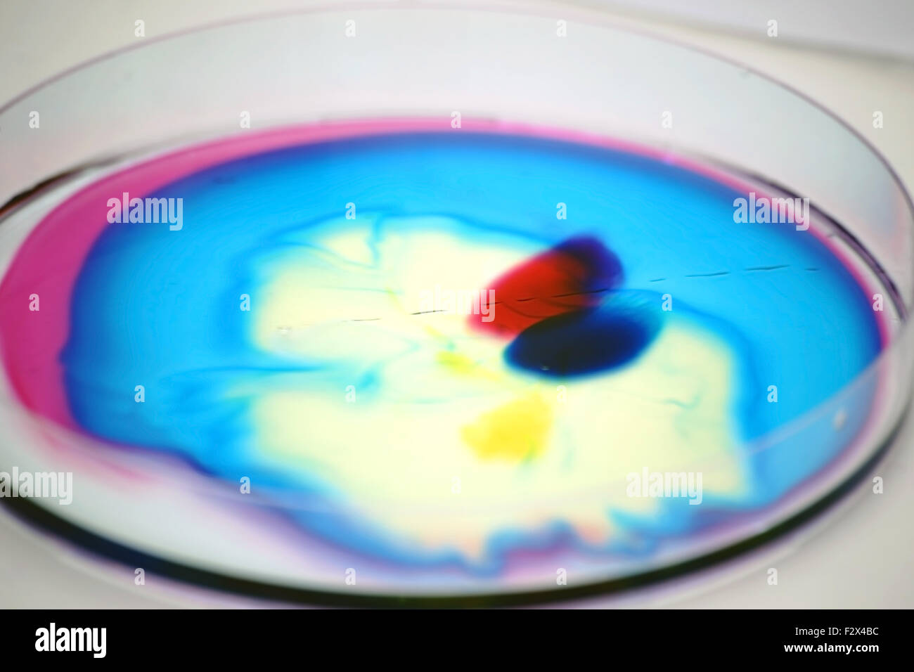 Colorful Petri dish Stock Photo - Alamy