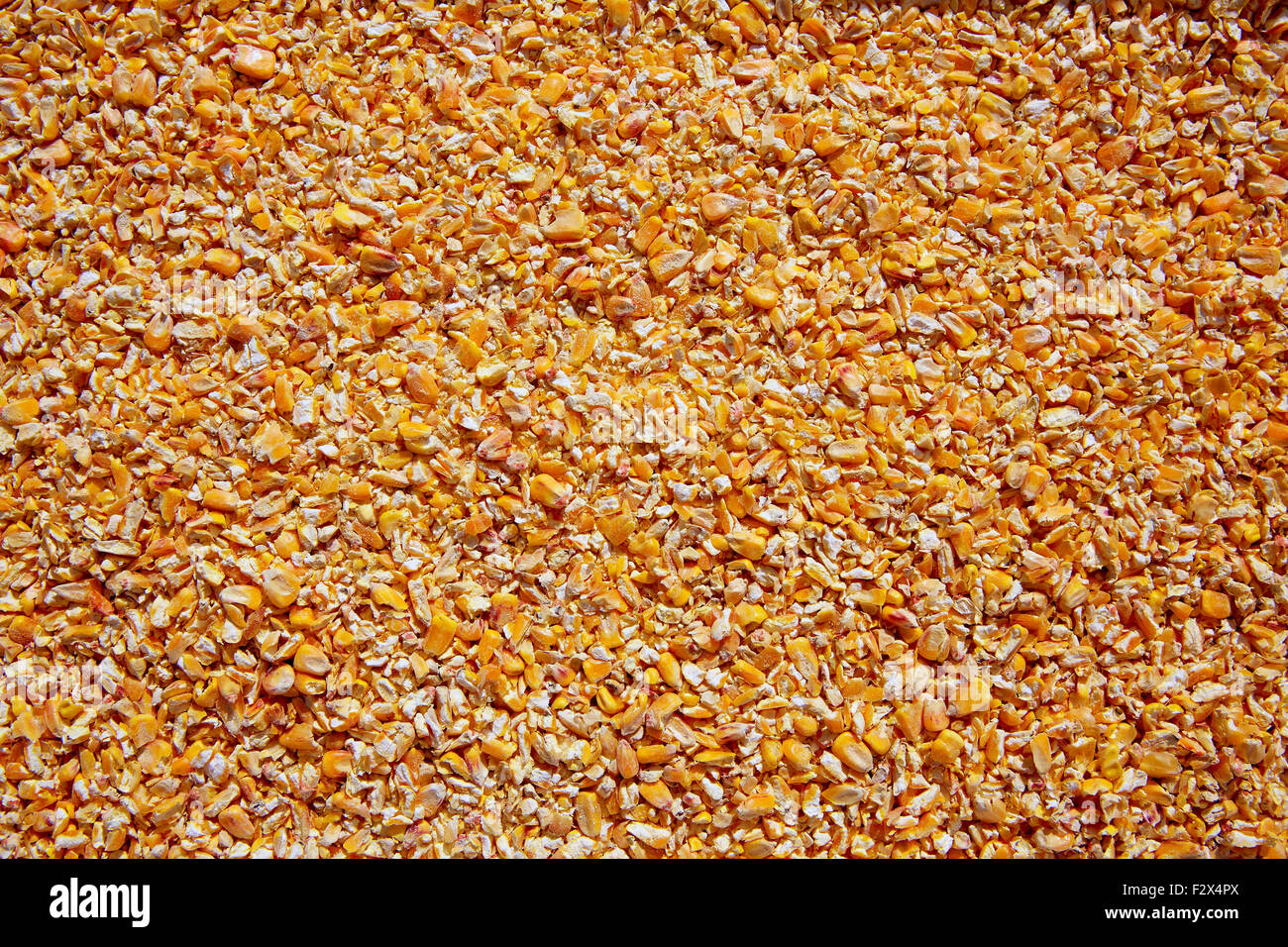 Corn seeds low milled seeds pattern texture background Stock Photo - Alamy
