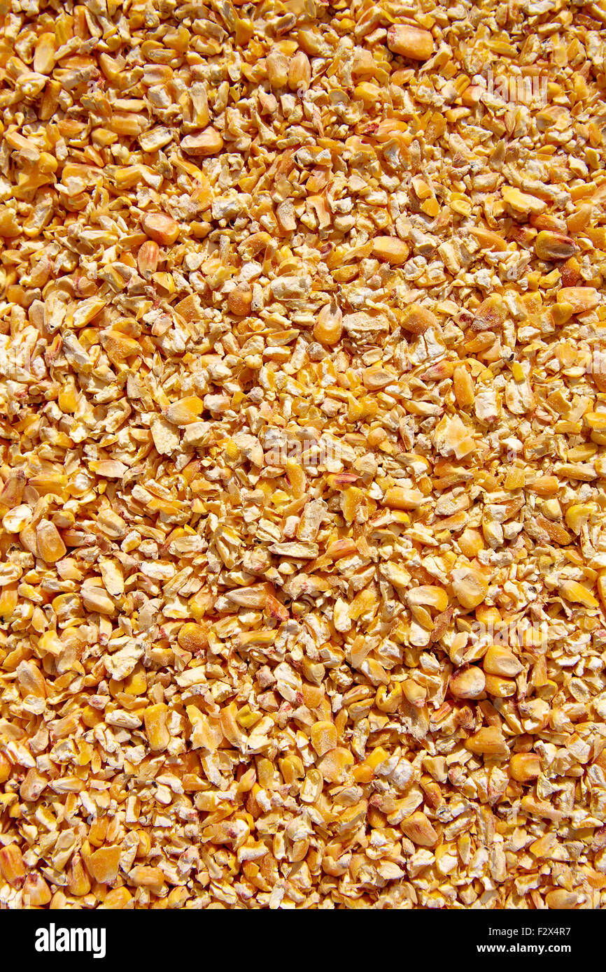 Corn seeds low milled seeds pattern texture background Stock Photo - Alamy