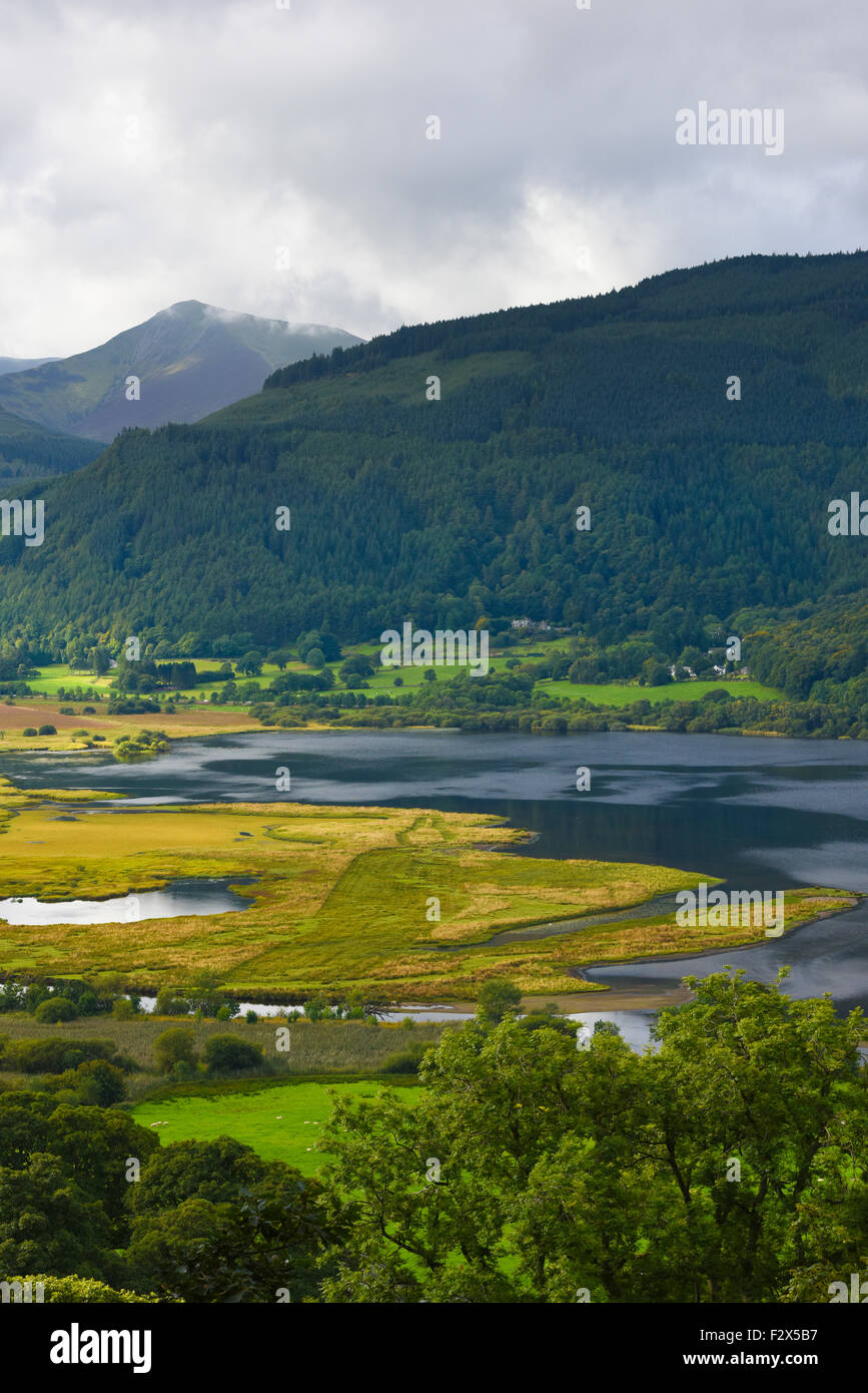 River meander uk hi-res stock photography and images - Alamy