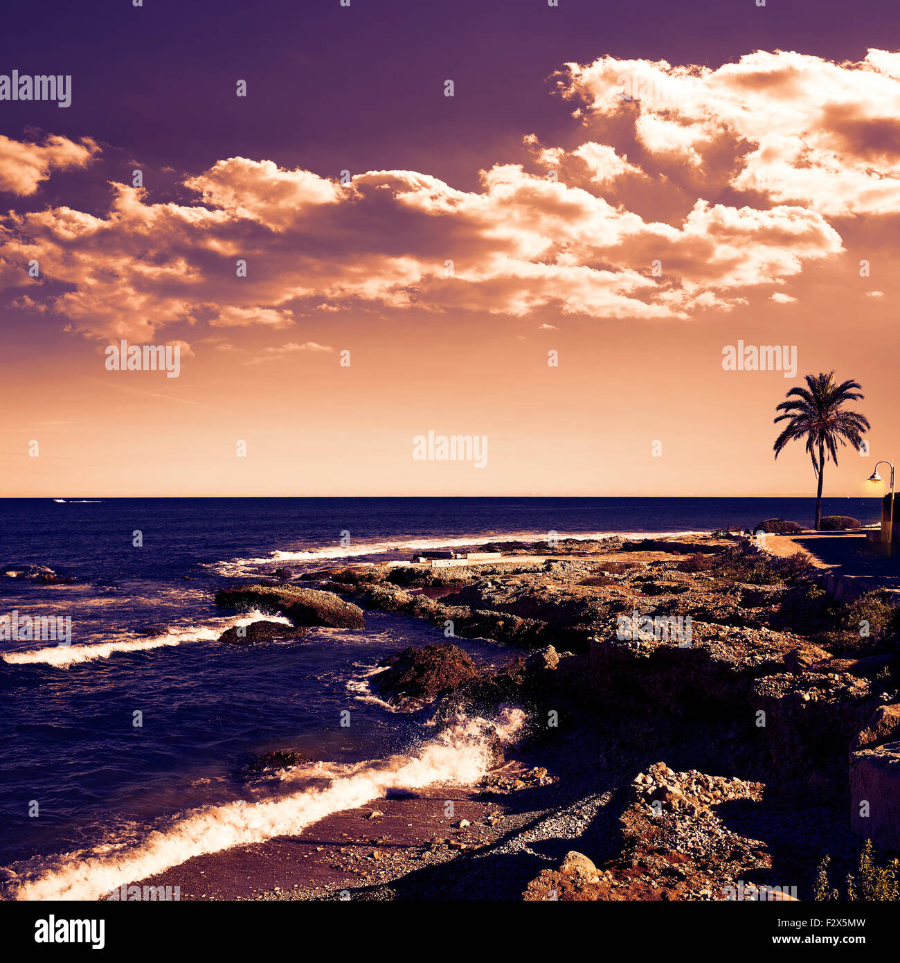 Rotas rotes hi-res stock photography and images - Alamy