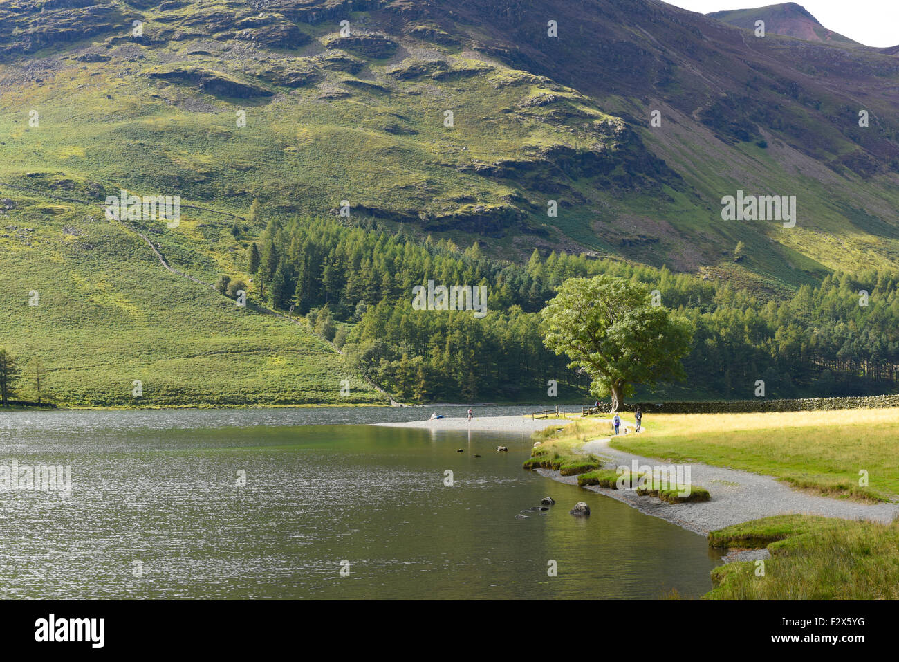 Lake Buttermere, Lake District National Park, England, UK Stock Photo ...