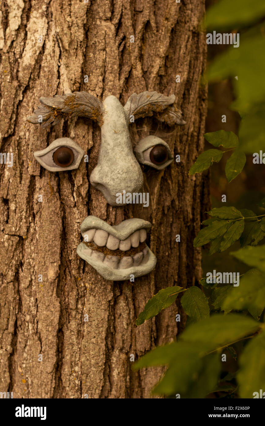 face on a tree Stock Photo - Alamy