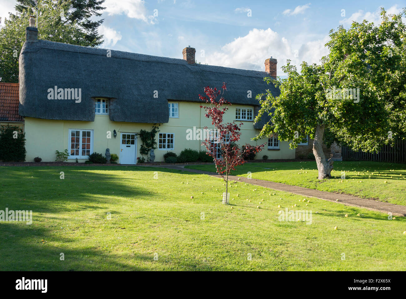 Thatched cottage and garden in village of Weekley, Northamptonshire ...